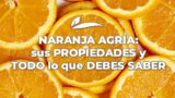 NARANJA AGRÍA: sus PROPIEDADES y TODO lo que DEBES SABER