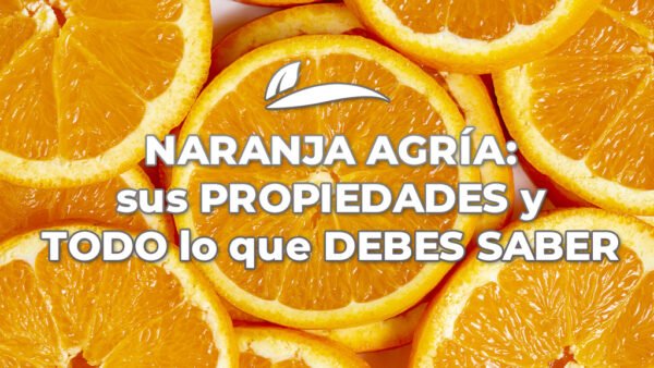 NARANJA AGRÍA: sus PROPIEDADES y TODO lo que DEBES SABER